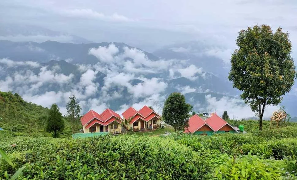 Details | Sittong Tour Package For 2N & 3D